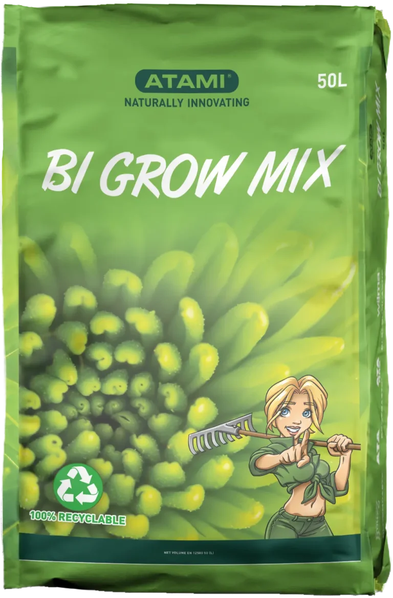 Veganic Cannabis Growing for Beginners: Step-by-Step Guide